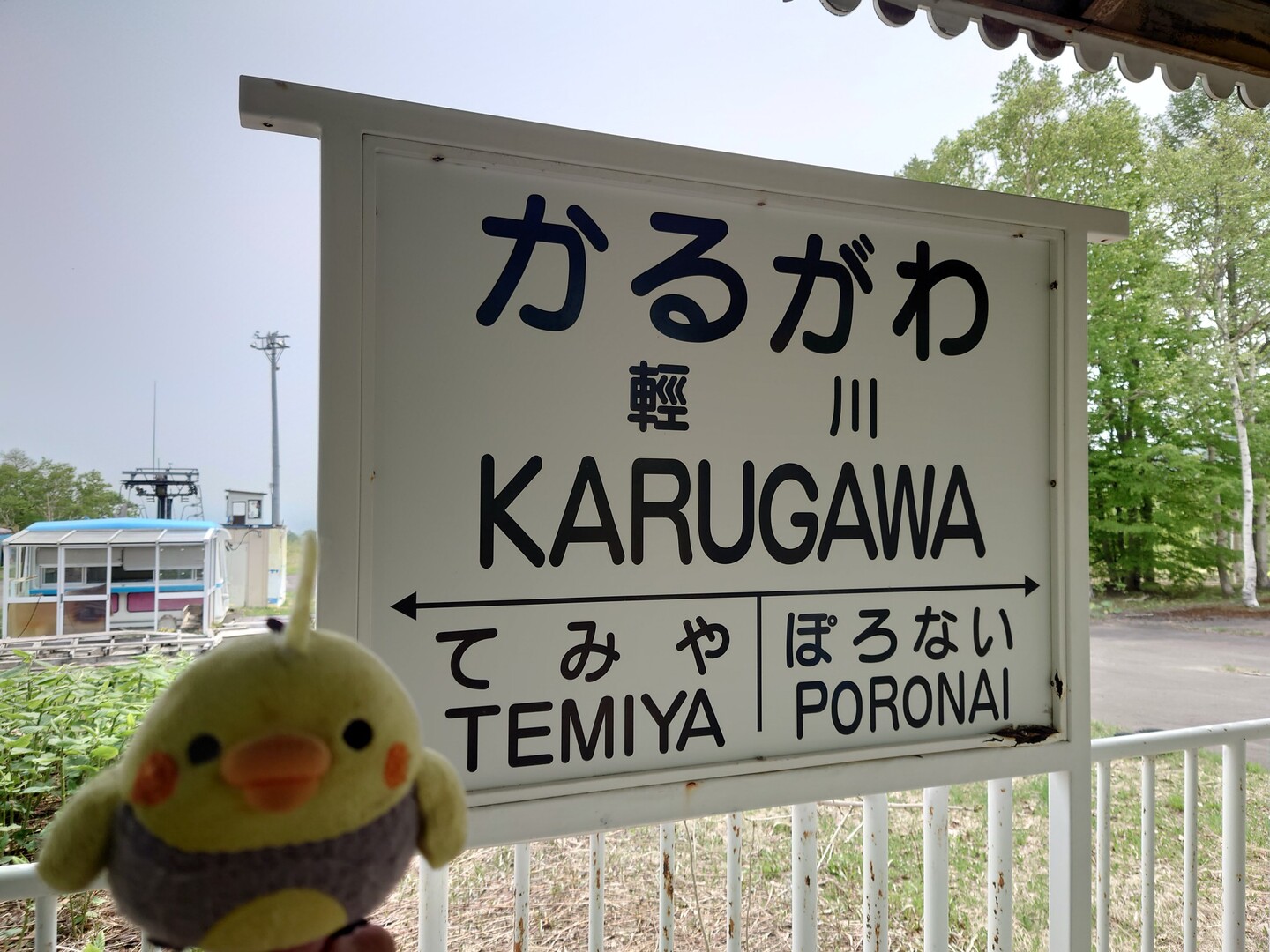 白樺峰〜千尺峰 / fujisunさんの手稲山・奥手稲山の活動日記 | YAMAP / ヤマップ