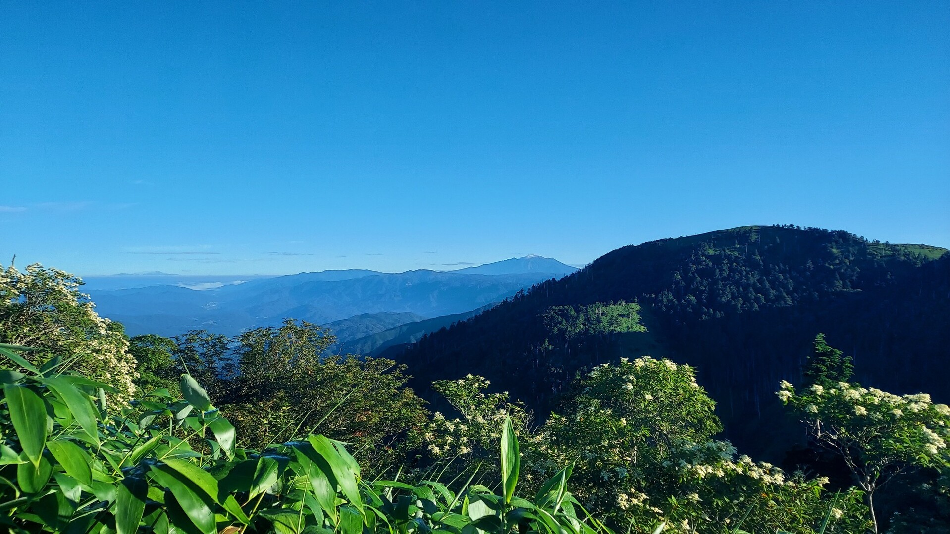 tolucky(^^)さんの投稿したフィールドメモ | YAMAP / ヤマップ