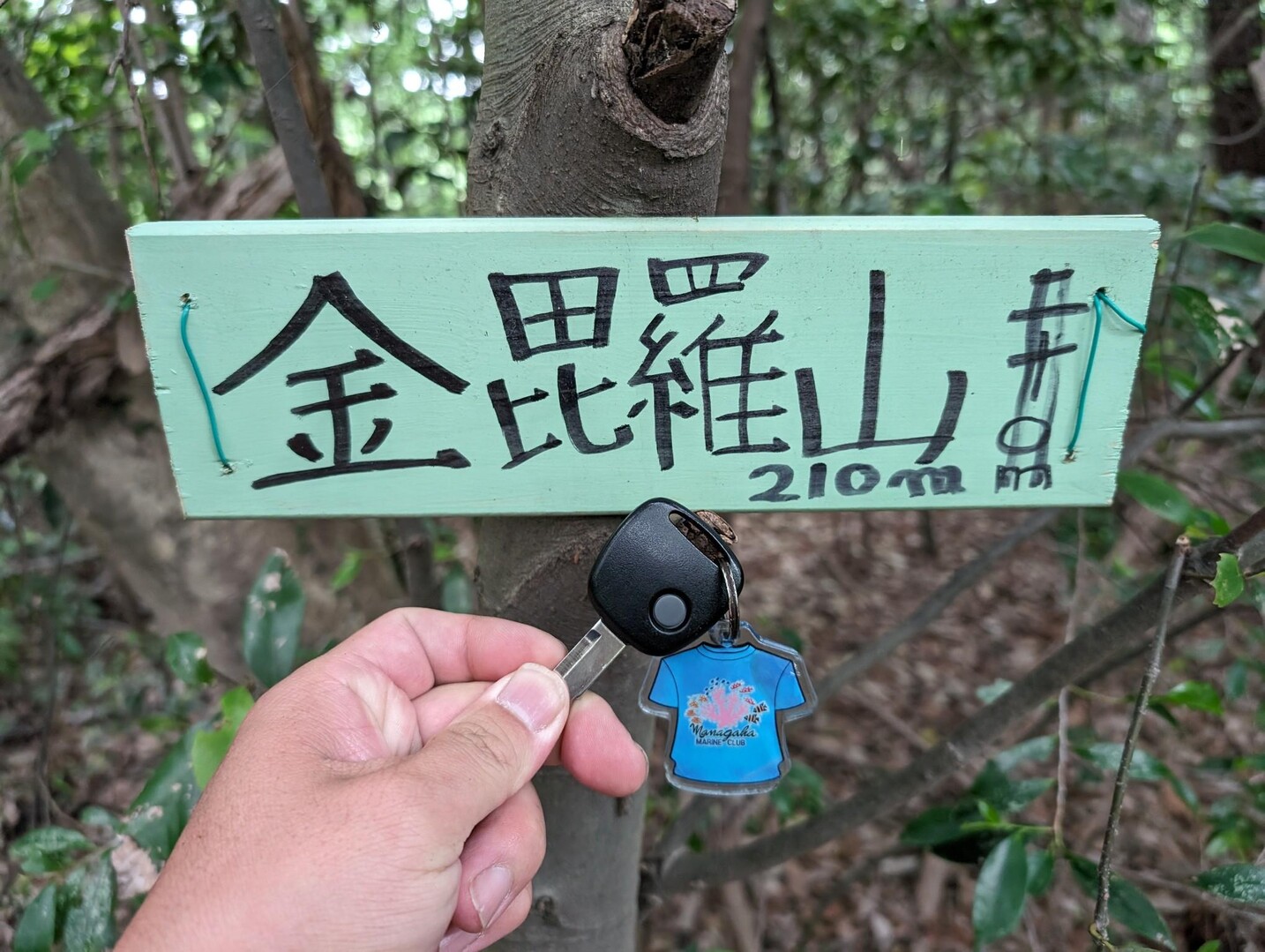 猿取山・金毘羅山 / ミリアクアさんの赤ぼっこの活動データ | YAMAP / ヤマップ