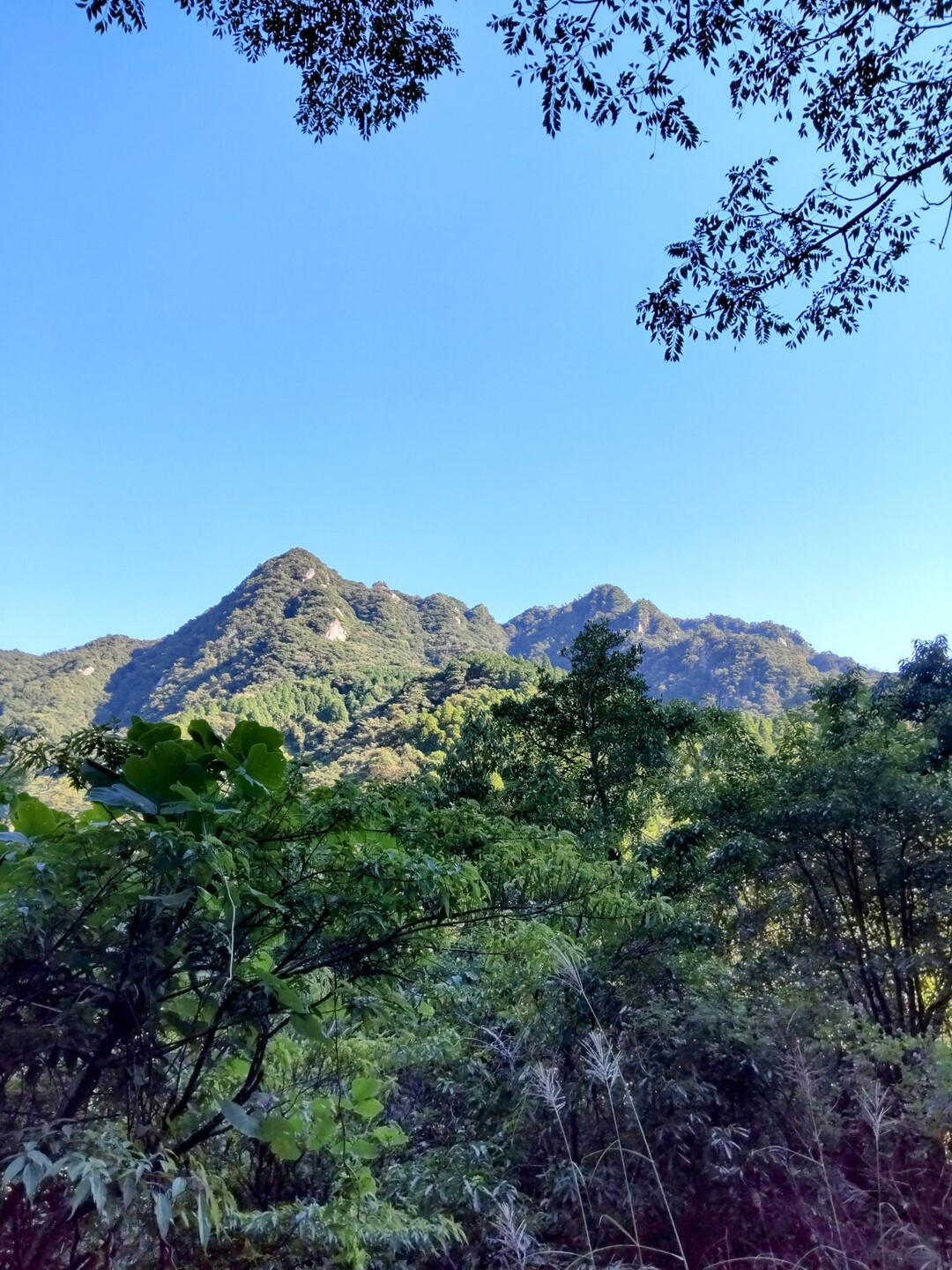 刀剣山 / KENJIさんの刀剣山の活動データ | YAMAP / ヤマップ