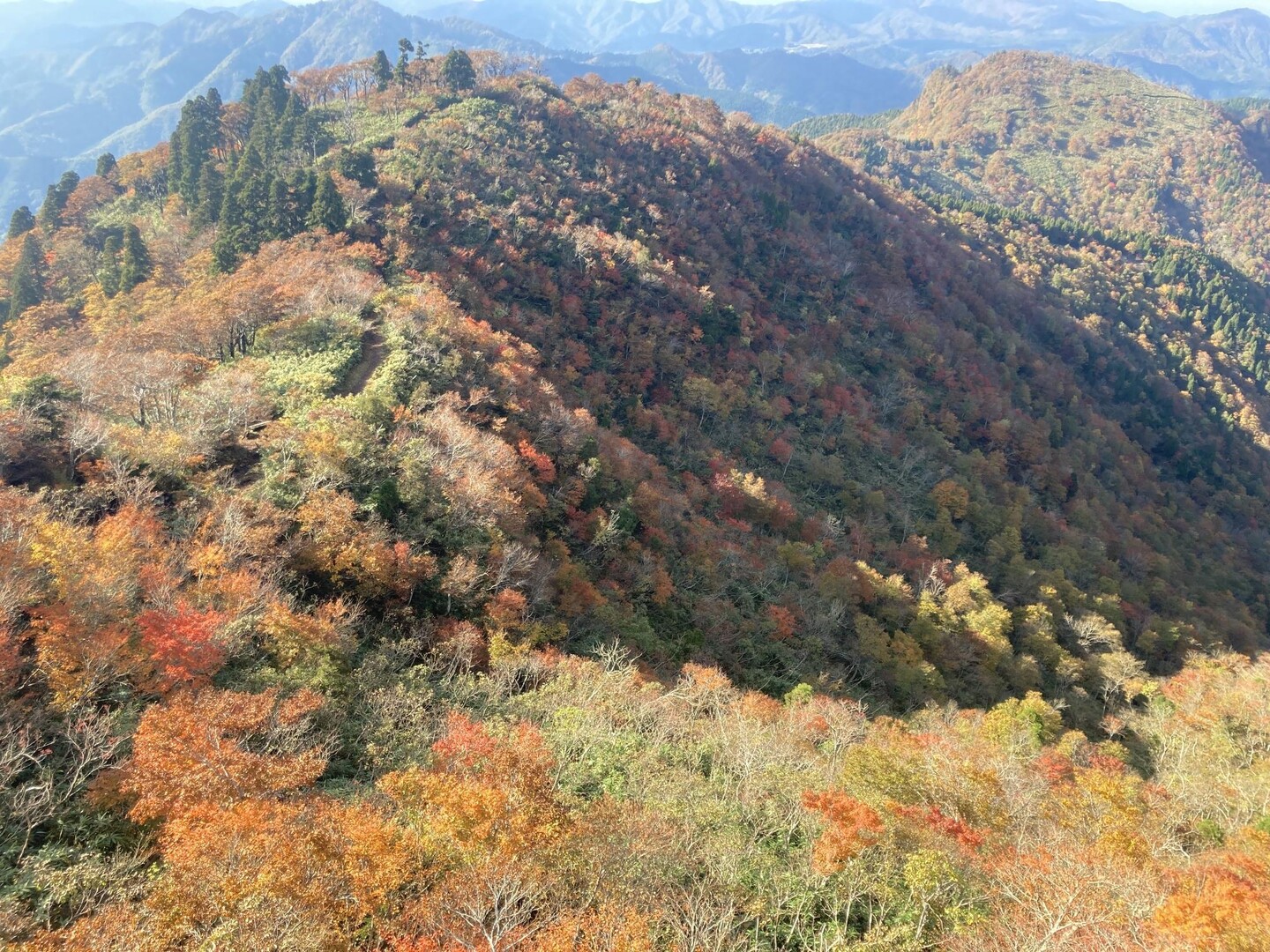 10/22 氷ノ山に行ってきました。毎年... / NORIさんのモーメント | YAMAP / ヤマップ