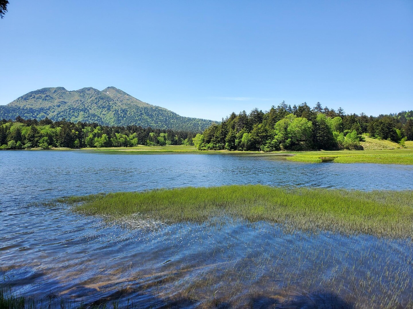 尾瀬・燧ヶ岳-2023-06-17 / HAYATEさんの尾瀬・燧ヶ岳の活動データ | YAMAP / ヤマップ