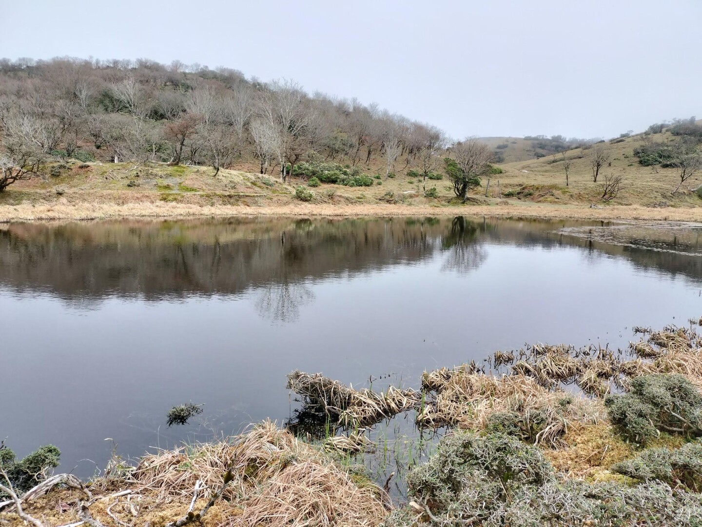 南比良（霊仙山〜小女郎ヶ池） / hi-santさんの比良山地・武奈ヶ岳・釈迦岳の活動データ | YAMAP / ヤマップ