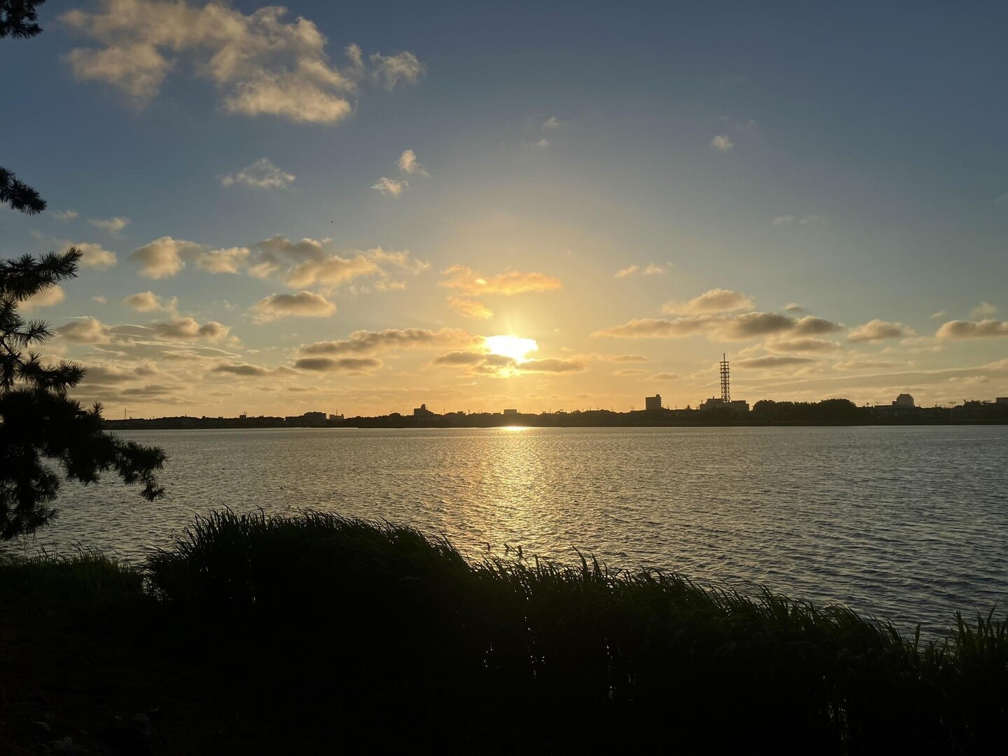 Same as yesterday🏃‍♂️ ︎スポーツ公園 / Naluさんの新潟市の活動データ | YAMAP / ヤマップ