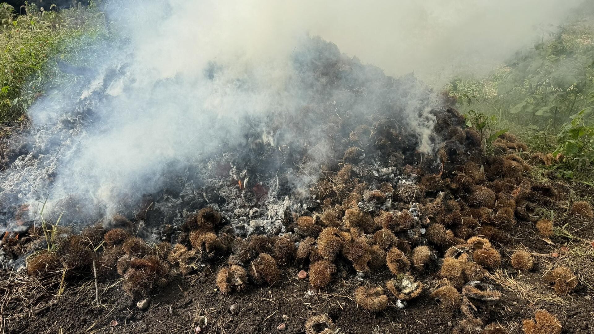 古城山 / subrosaさんの古城山の活動データ | YAMAP / ヤマップ