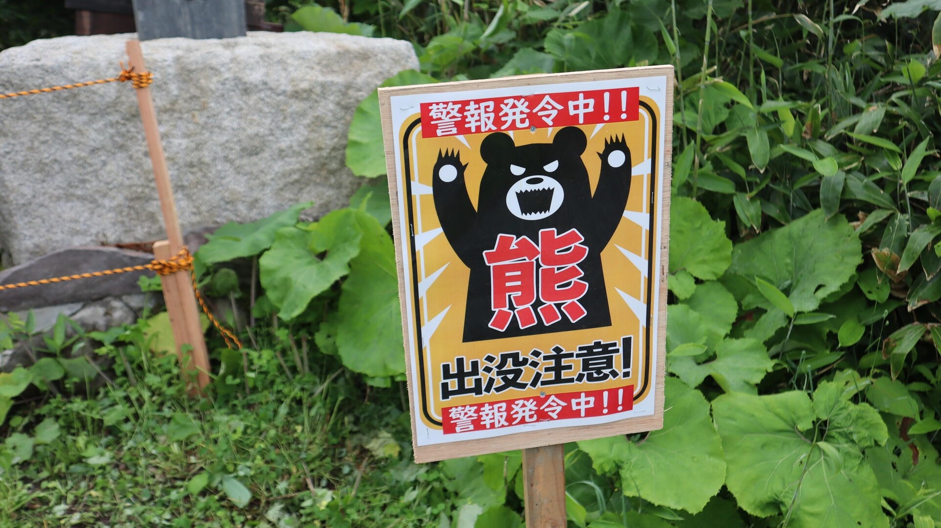 昨日の夕方からかよ!DNS八甲田山 / 37111akrさんの八甲田山・高田大岳・雛岳の活動データ | YAMAP / ヤマップ