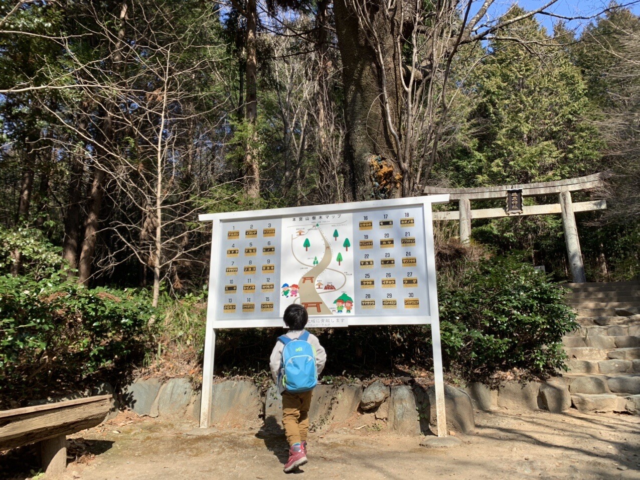 本宮山 / morryさんの本宮山・大日山・風頭山の活動データ | YAMAP / ヤマップ