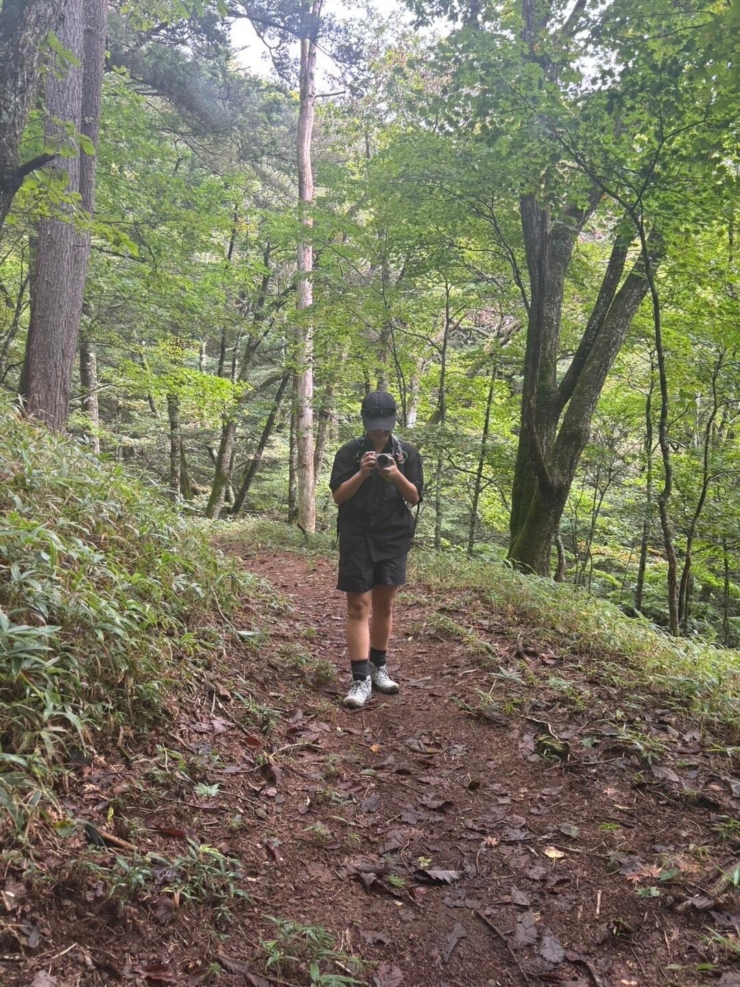 妙見ノ頭・大菩薩嶺 / nagisaさんの大菩薩嶺・鶏冠山・大マテイ山の活動データ | YAMAP / ヤマップ