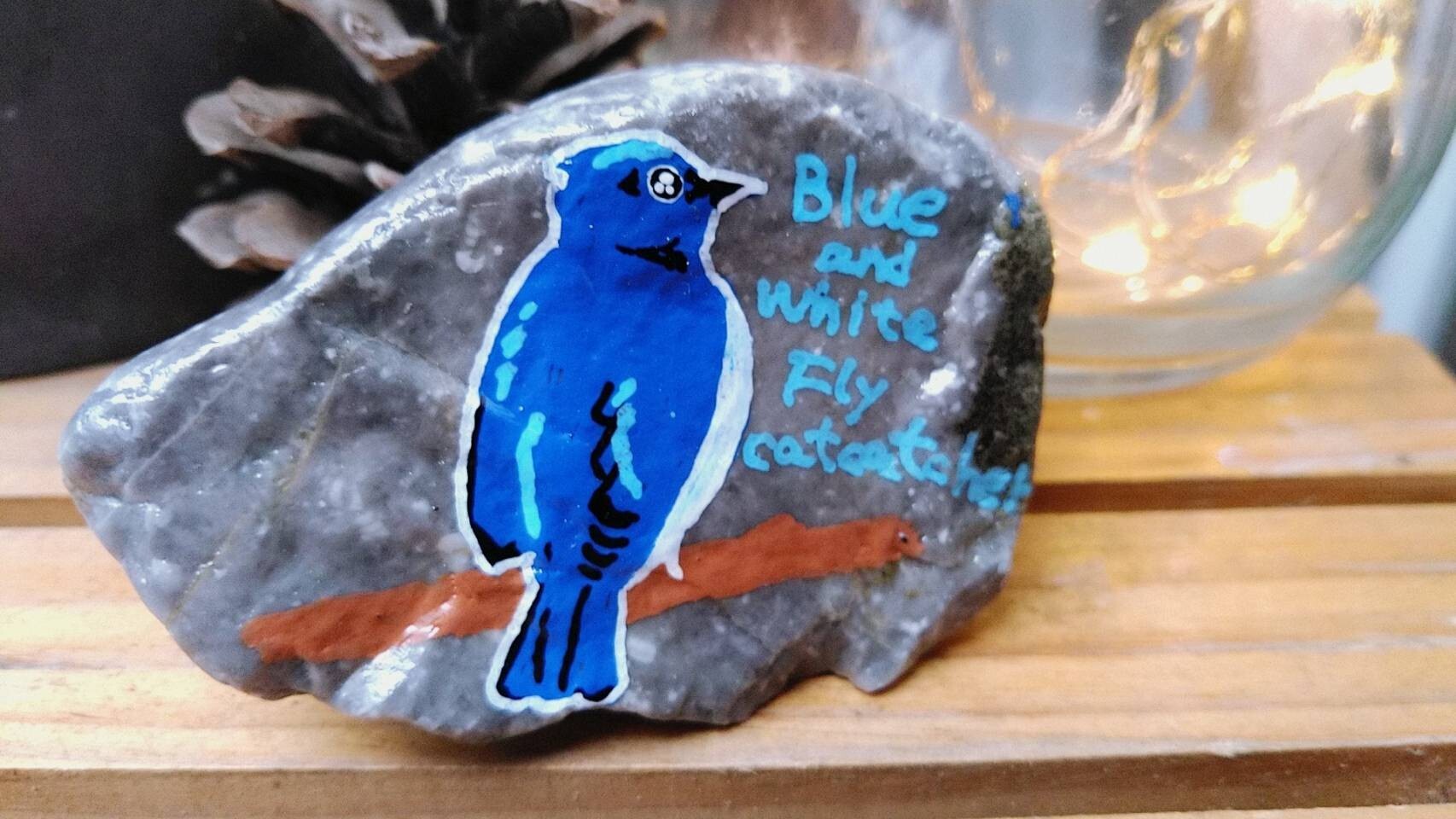 鳥ワロック🐦 1枚目は"オオルリ"... / kazさんのモーメント | YAMAP / ヤマップ