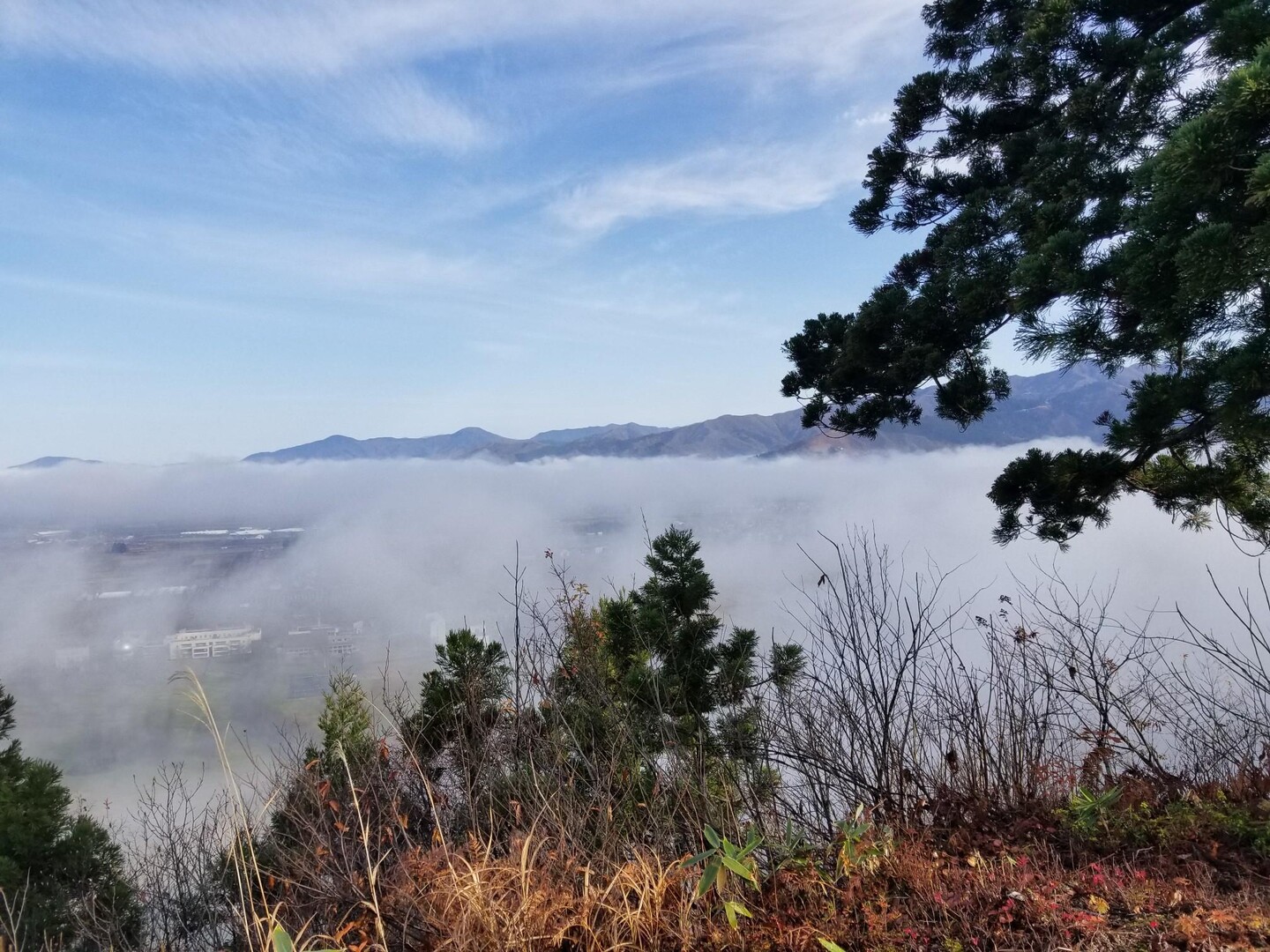 坊谷山・愛宕山 / ta-さんの朝日山の活動データ | YAMAP / ヤマップ
