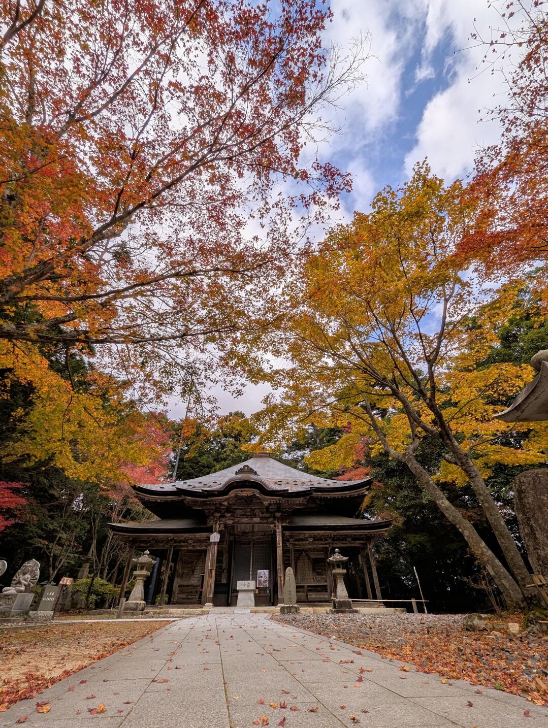 極楽寺山-20241122 / Mineさんの極楽寺山の活動データ | YAMAP / ヤマップ