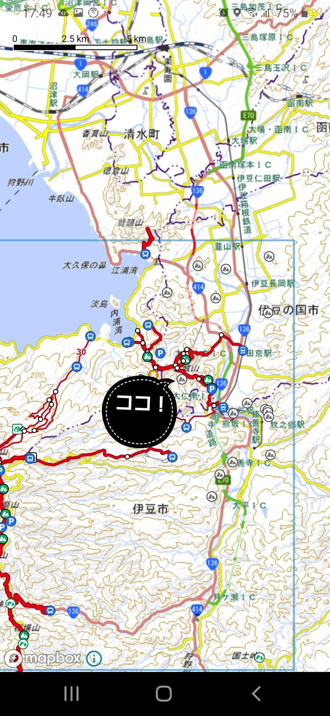 伊豆 葛城山の南に 1山 増加させました... / ko usさんのモーメント | YAMAP / ヤマップ