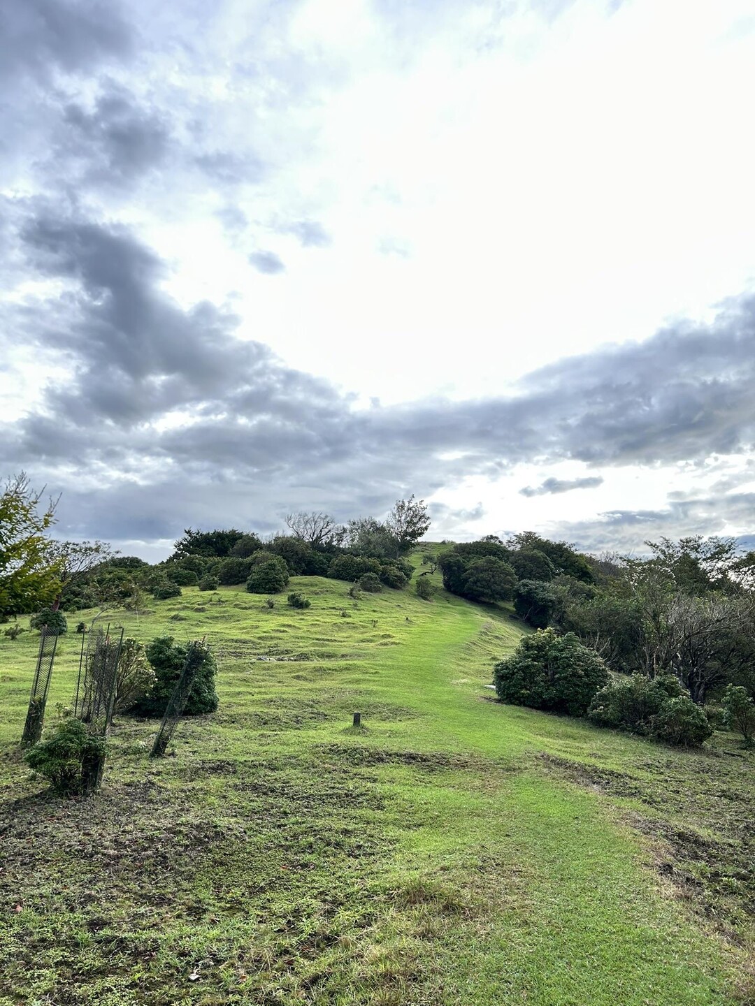 経ヶ峰 / KJさんの経ヶ峰の活動データ | YAMAP / ヤマップ