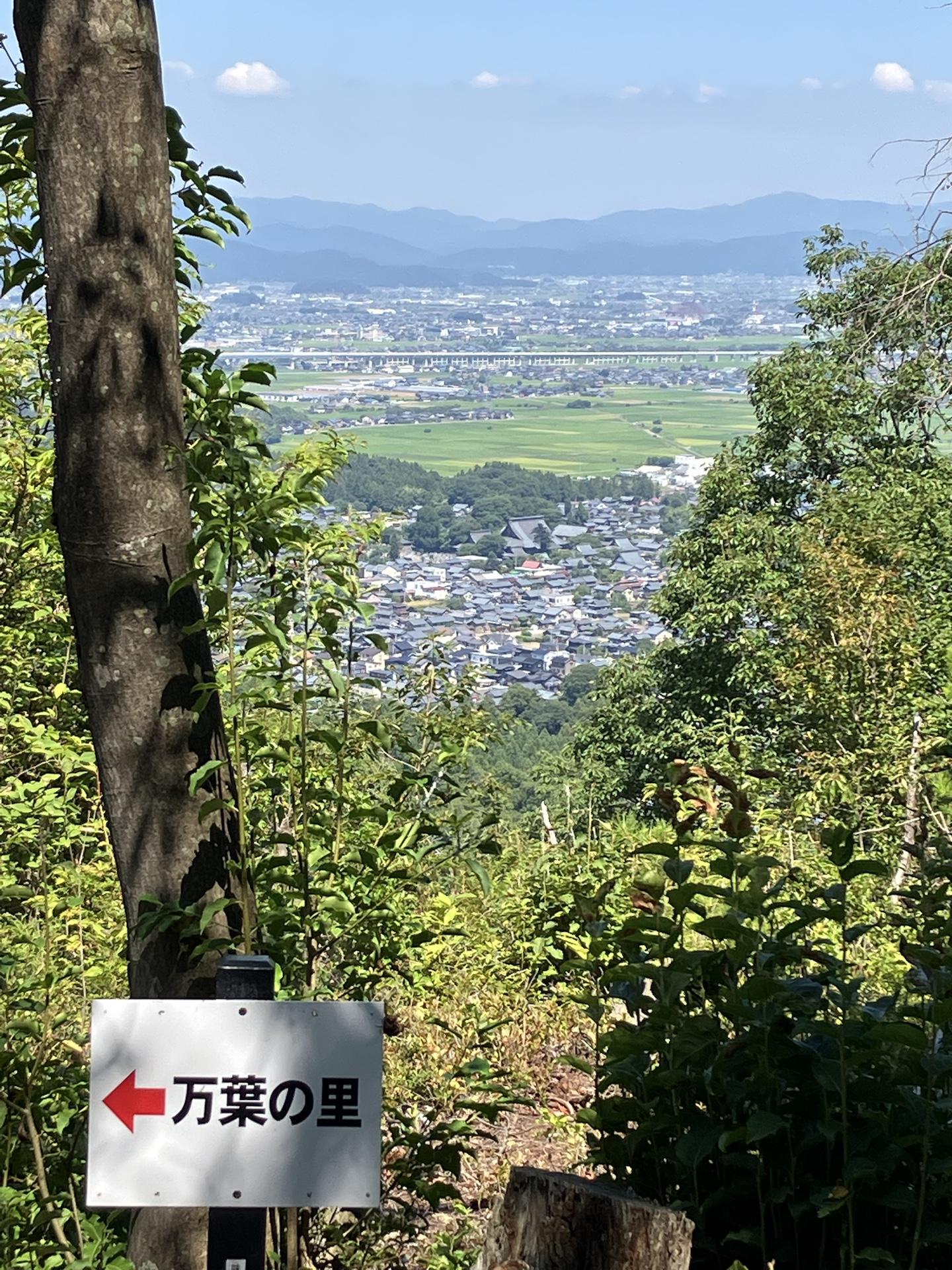 倶利古曽山・武衛山 / It‘s more zeizei 🐶さんの武衛山の活動データ | YAMAP / ヤマップ