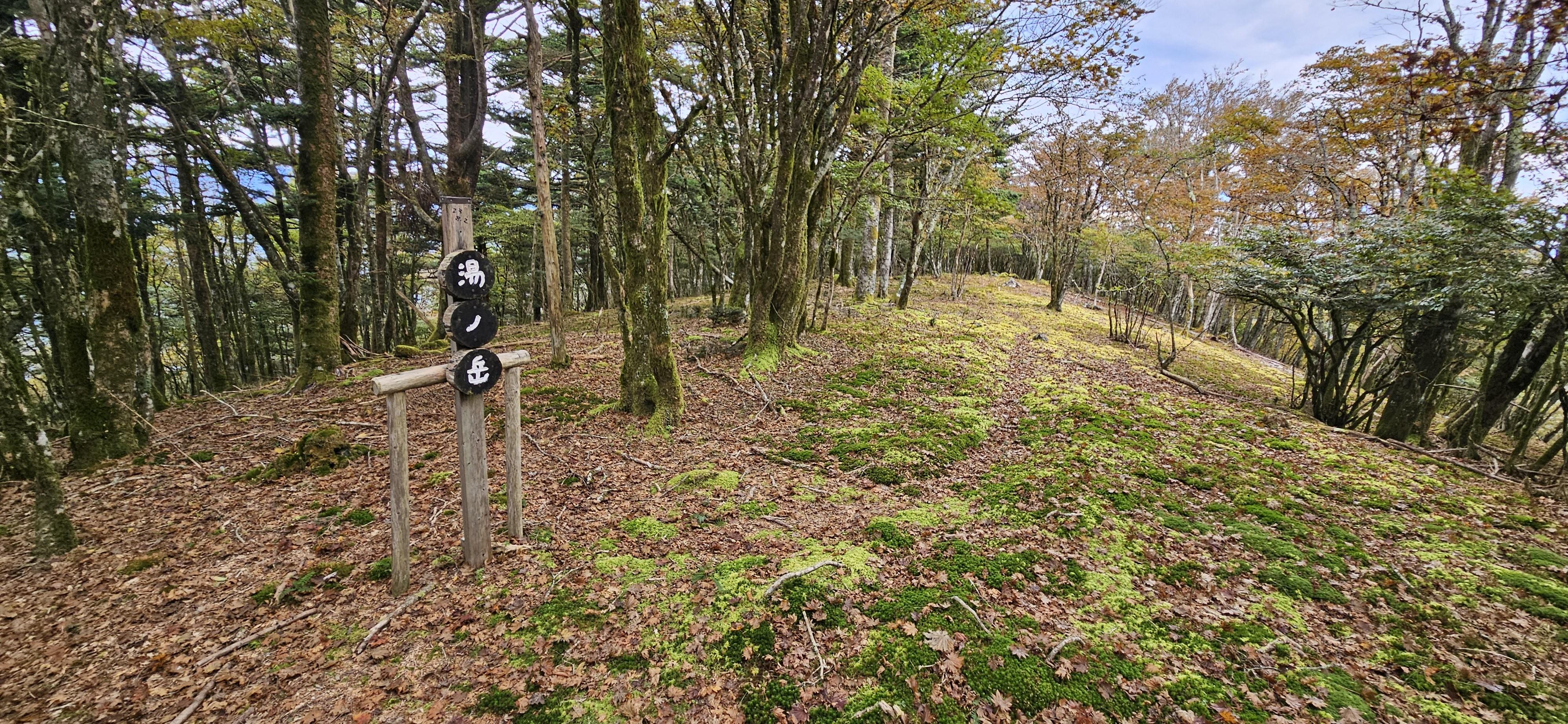 第二真富士山・湯ノ岳⇒浅間原 / moochi さんの真富士山の活動データ | YAMAP / ヤマップ