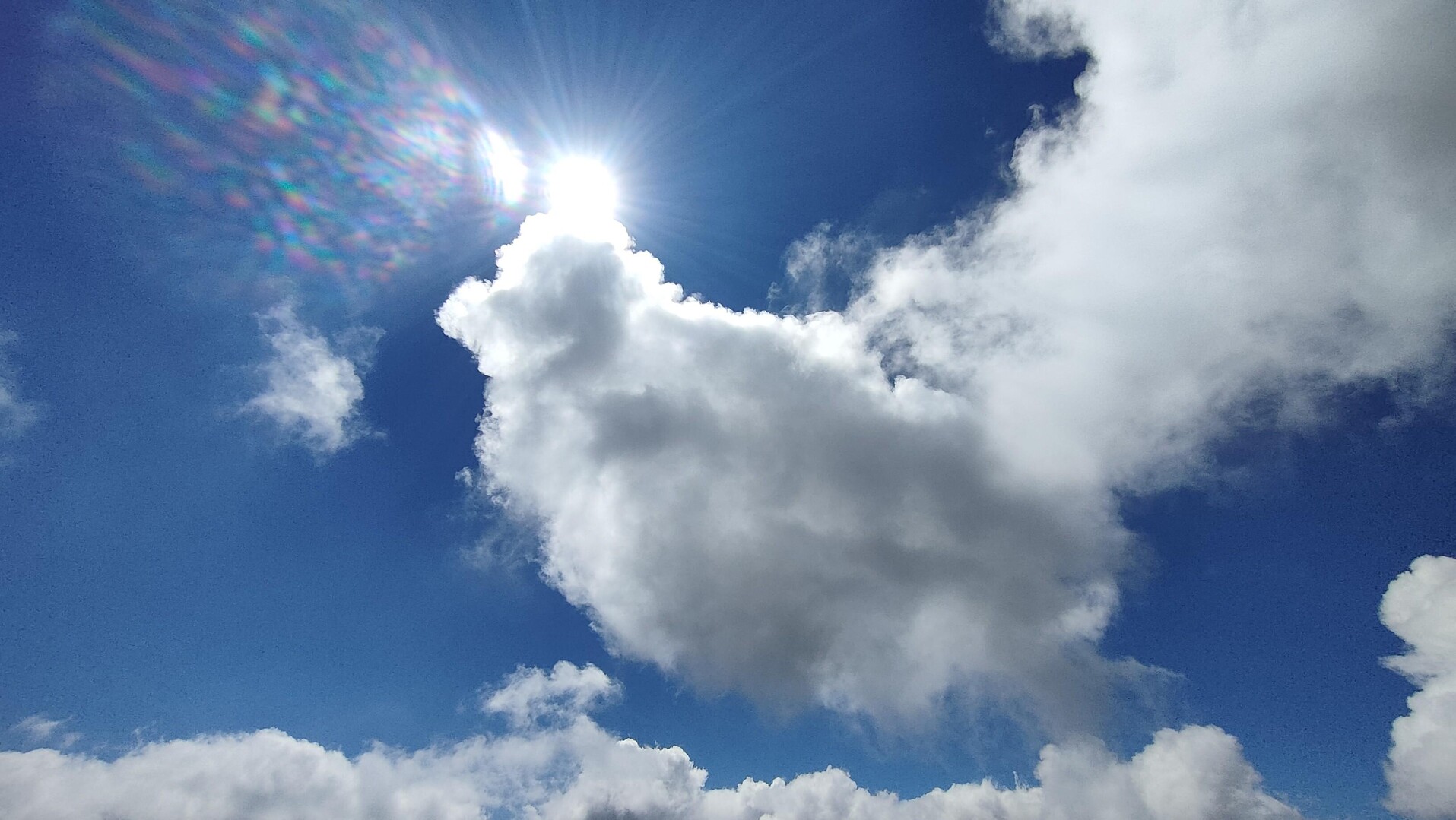 綿向山 / S kazuさんの綿向山の活動データ | YAMAP / ヤマップ