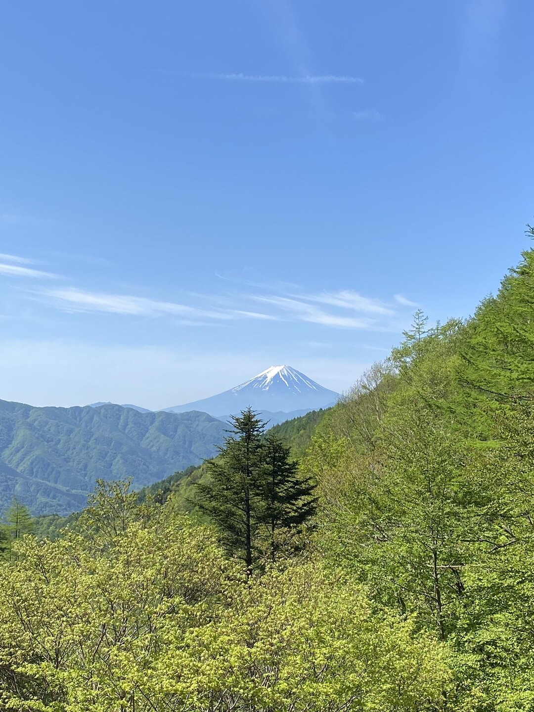 新緑が輝く大菩薩嶺丸川荘へ / akko0502さんの大菩薩嶺・鶏冠山・大マテイ山の活動データ | YAMAP / ヤマップ