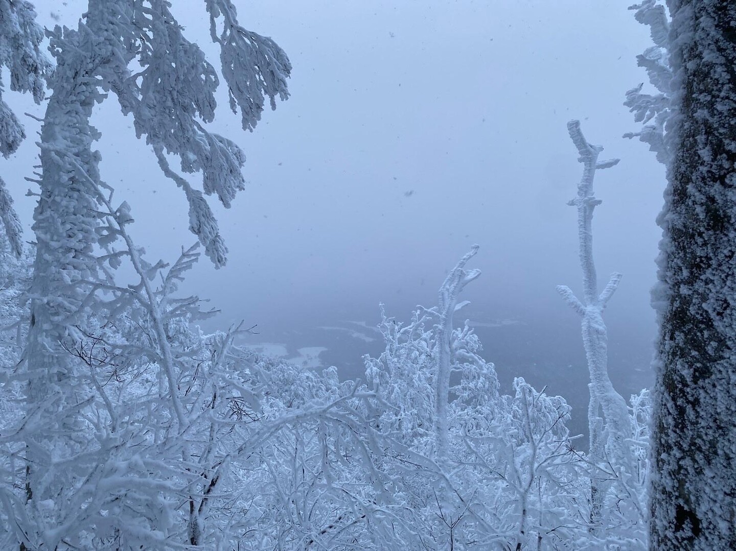 登り納めはやっぱり大山 ️ / E.T👉👈さんの大山・甲ヶ山・野田ヶ山の活動データ | YAMAP / ヤマップ