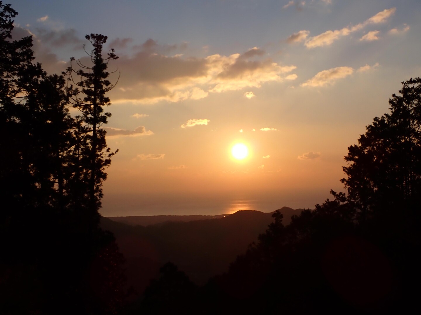 【伊勢路2024】有井駅から瀞流荘まで / straysheepさんの熊野古道 伊勢路⑤の活動データ | YAMAP / ヤマップ