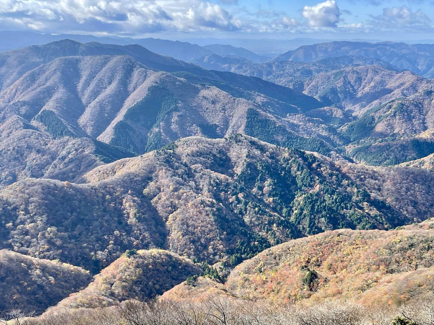 藤原岳・天狗岩でチルタイム🙂‍↔️ / kawasakix.ggさんの藤原岳・御池岳の活動データ | YAMAP / ヤマップ