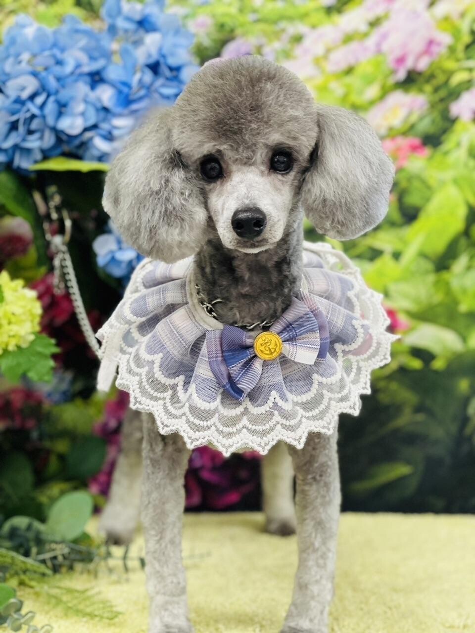 tonyのページ | YAMAP / ヤマップ