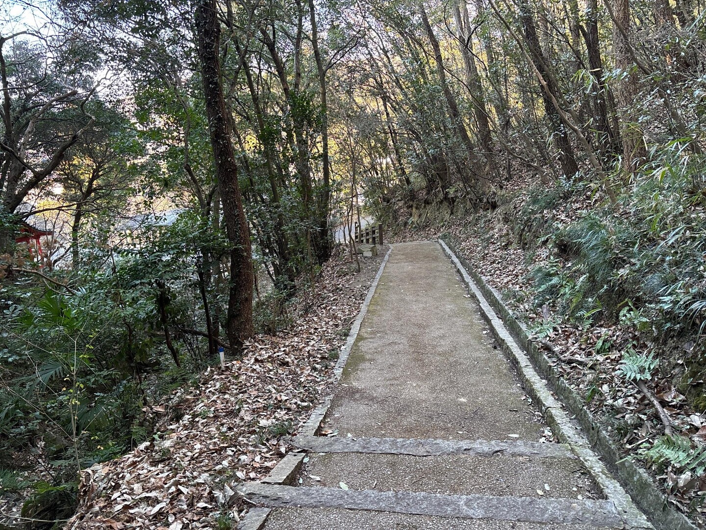 YAMAPを初めて利用した / Guest ファジアーノさんのモーメント | YAMAP / ヤマップ