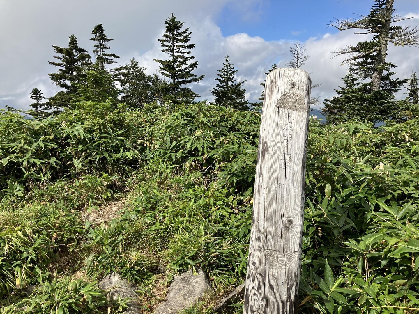 鳥甲山 / baku yone.yさんの鳥甲山の活動日記 | YAMAP / ヤマップ