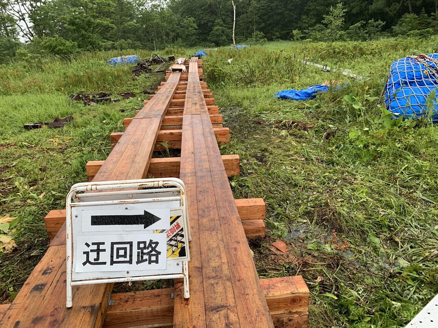 棗さんの投稿したフィールドメモ | YAMAP / ヤマップ