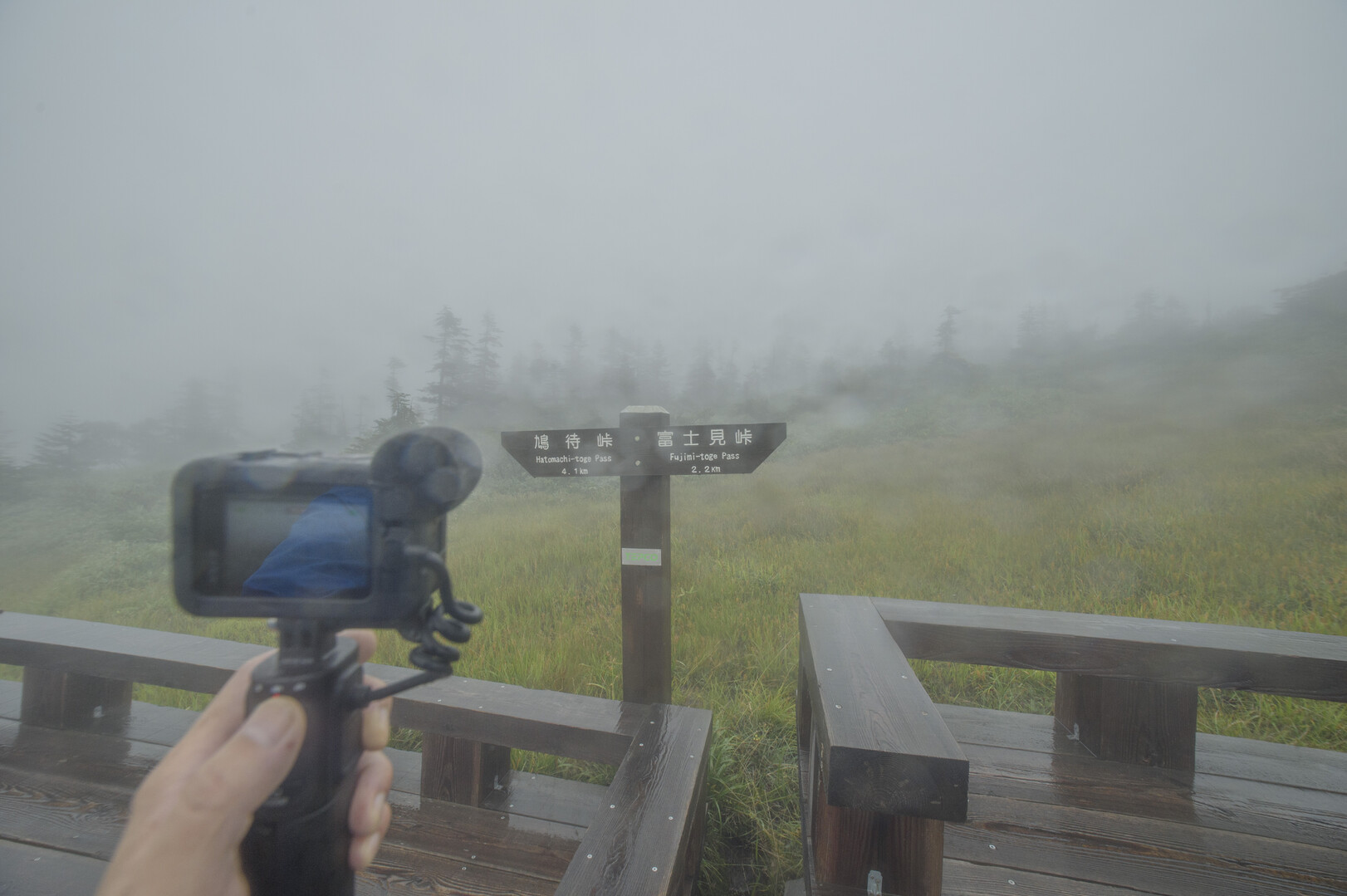 アヤメ平は…霧の中 / Italさんの尾瀬・至仏山・悪沢岳・笠ヶ岳の活動データ | YAMAP / ヤマップ