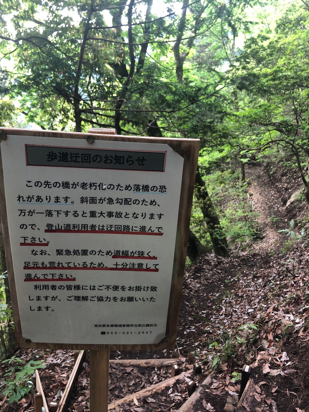 Tomoさんの投稿したフィールドメモ | YAMAP / ヤマップ