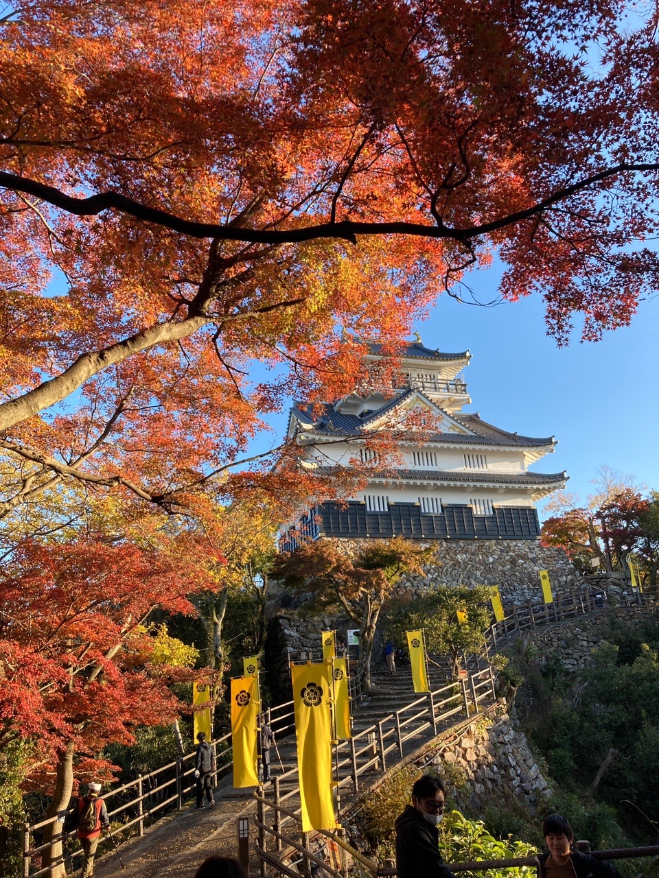 金華山（岩戸ルート） / KANAPさんの金華山・洞山・舟伏山の活動データ | YAMAP / ヤマップ