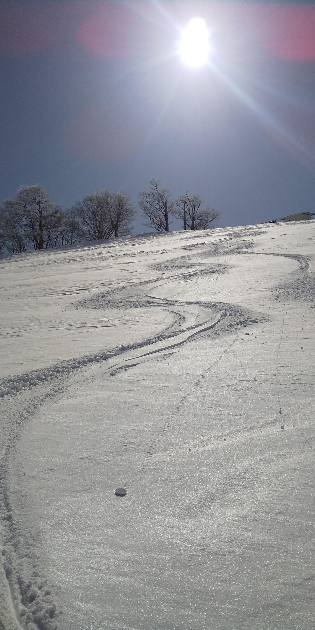 今日は流葉スキー場へ。本日がシーズン最後... / nickさんのモーメント | YAMAP / ヤマップ