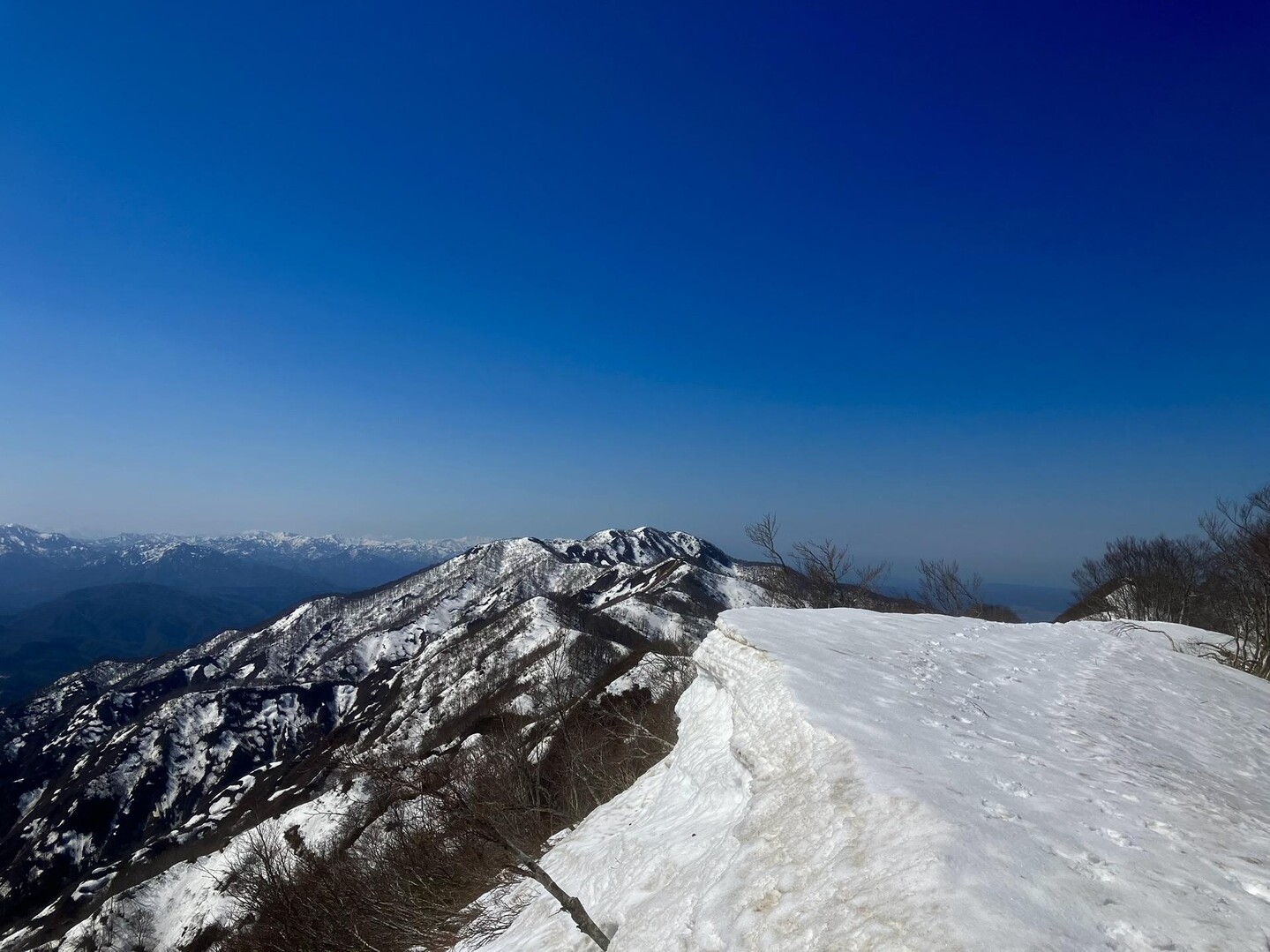 一期一会🙌 ︎五頭山 / Naluさんの五頭山・菱ヶ岳・宝珠山の活動データ | YAMAP / ヤマップ