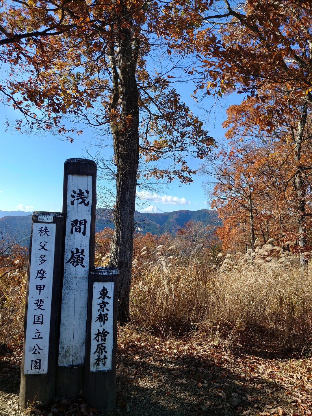 浅間嶺（小岩浅間） / ugさんの浅間嶺・松生山の活動データ | YAMAP / ヤマップ