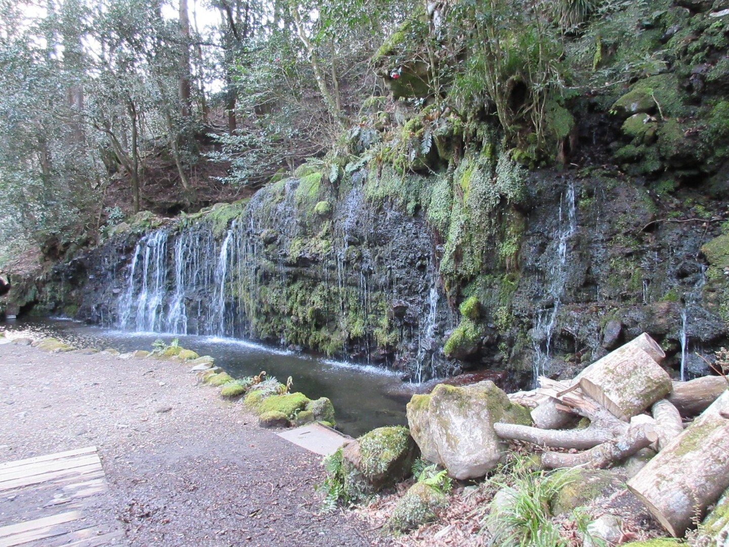 鷹巣山・浅間山・城山(箱根町)・湯坂山 / kuma3016さんの金時山・明神ヶ岳の活動データ | YAMAP / ヤマップ