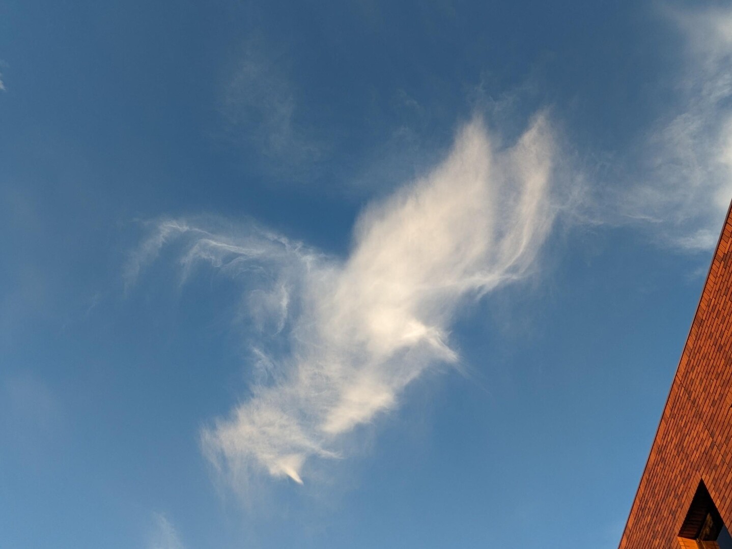 魚いっぱい泳いでる…水族館だ…と思ってた... / kecoさんのモーメント | YAMAP / ヤマップ