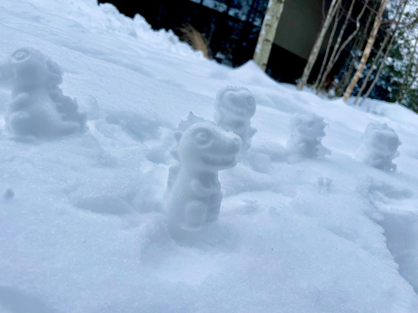 恐竜バージョンAmazonで発見！今日は... / ねこだいふくさんのモーメント | YAMAP / ヤマップ