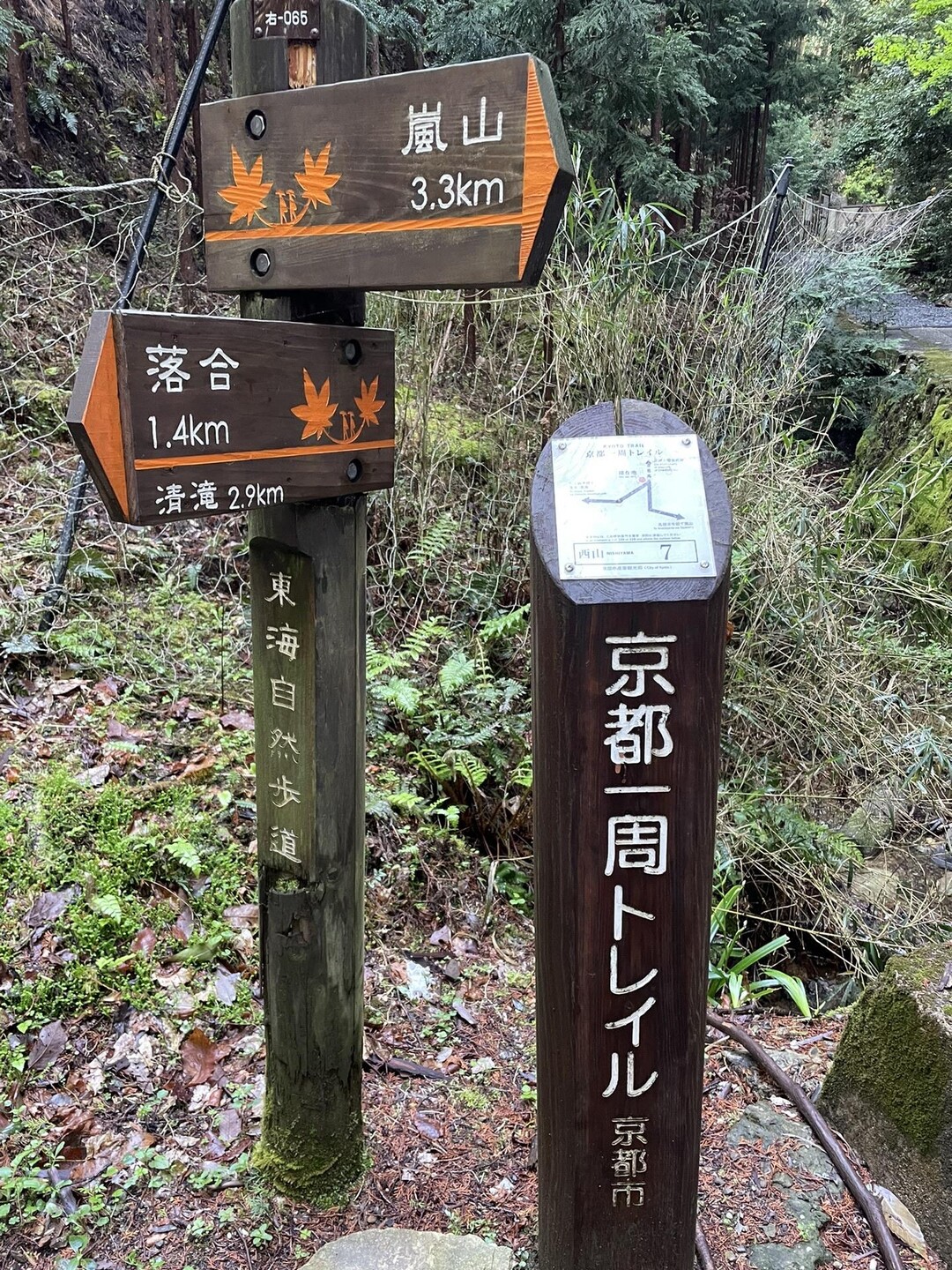 京都トレイル西山コース / ゆみっぺさんの京都一周トレイルの活動データ | YAMAP / ヤマップ