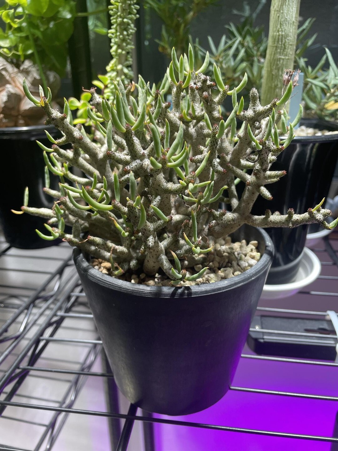 よっくんtetoのページ | YAMAP / ヤマップ