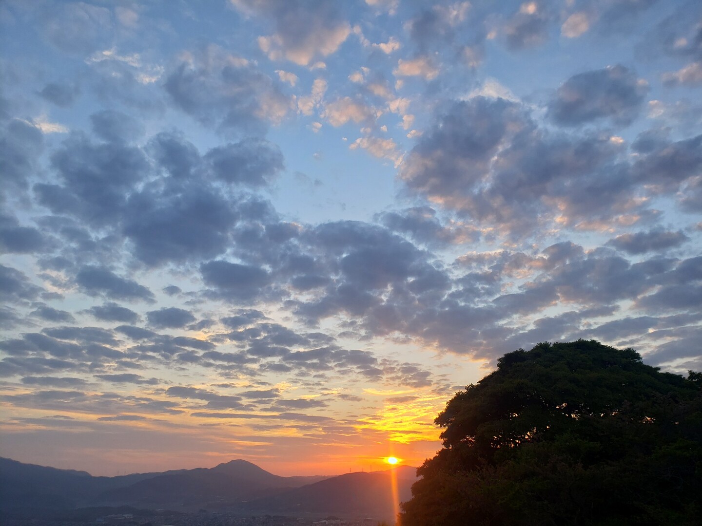 青空get(￣ ￣)ﾆﾔﾘｯ / Chi-chanさんのモーメント | YAMAP / ヤマップ