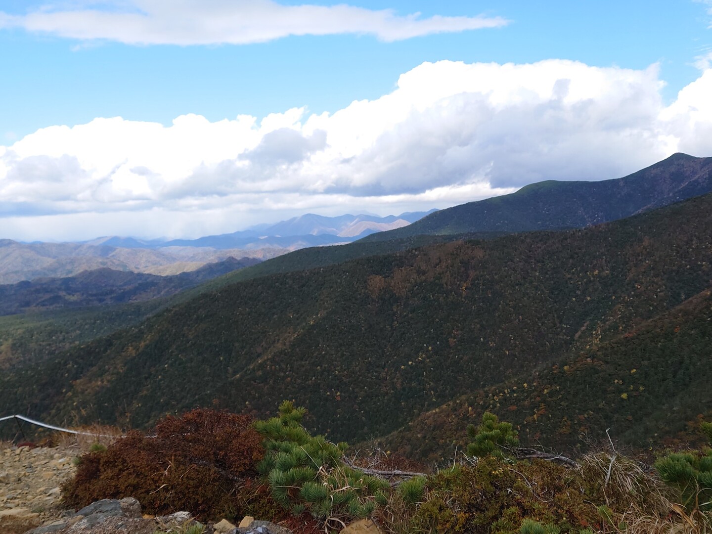 アポイ岳 / makyさんのアポイ岳の活動日記 | YAMAP / ヤマップ