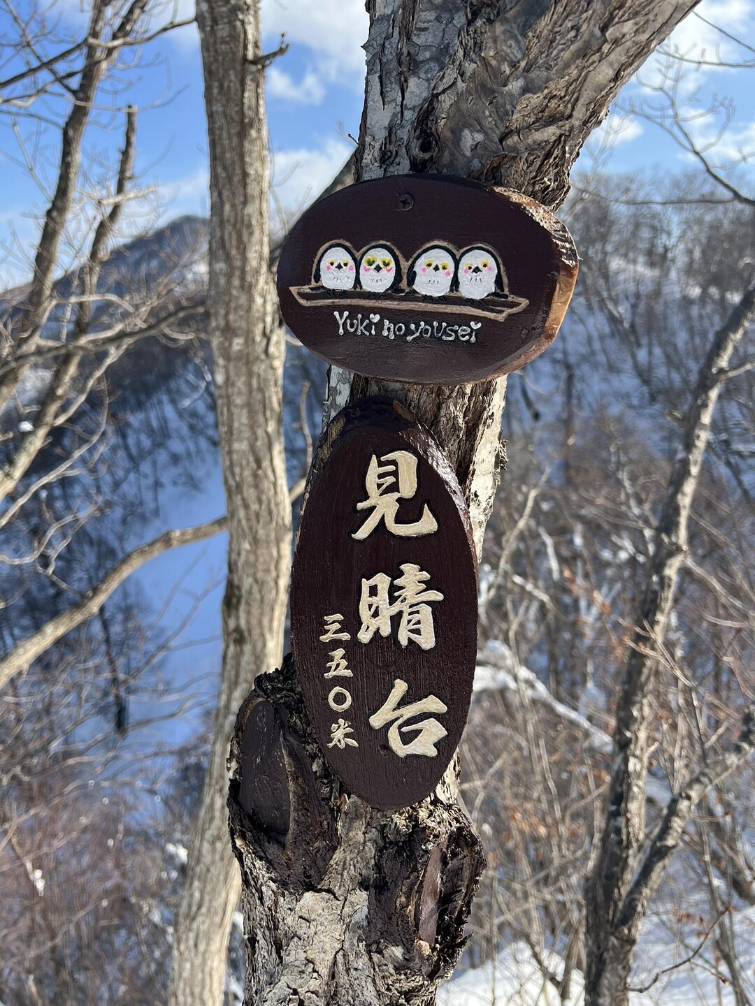 藻岩山 / tommyさんの藻岩山の活動データ | YAMAP / ヤマップ