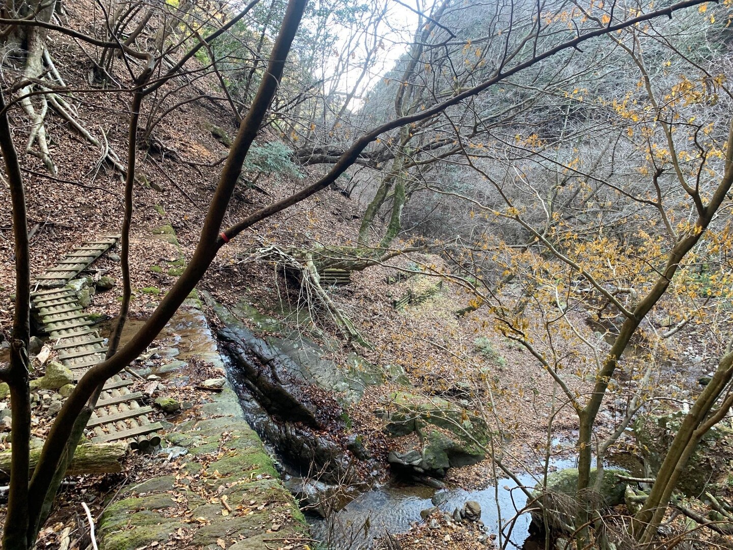 chaさんの投稿したフィールドメモ | YAMAP / ヤマップ