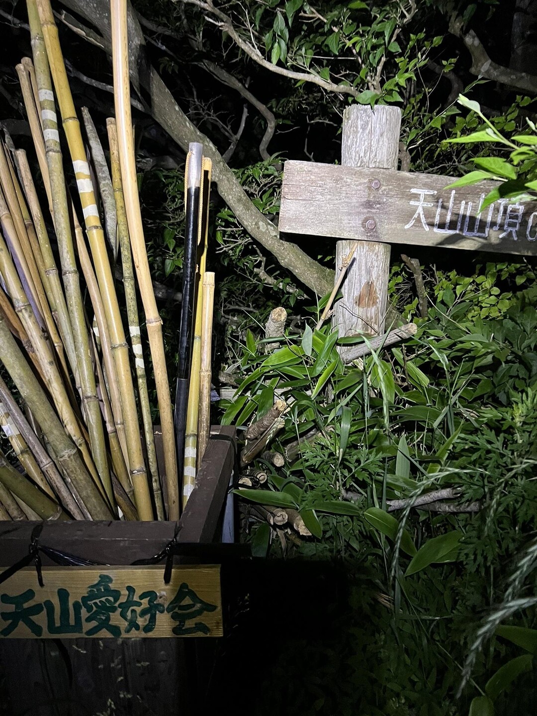 天山-2023-06-16 / Madoka さんの天山の活動データ | YAMAP / ヤマップ