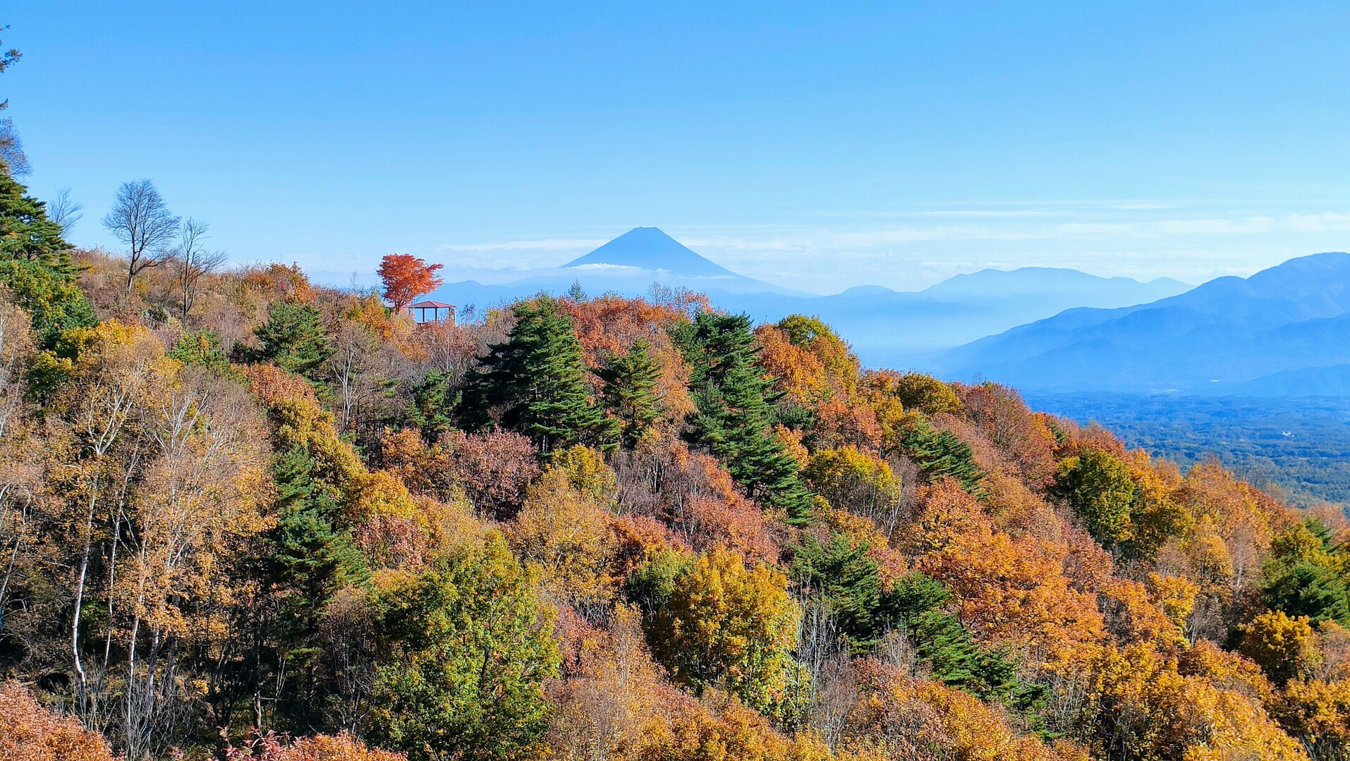 【紅葉さんぽ】 入笠山→ 天空カート / kunsanさんの入笠山の活動データ | YAMAP / ヤマップ