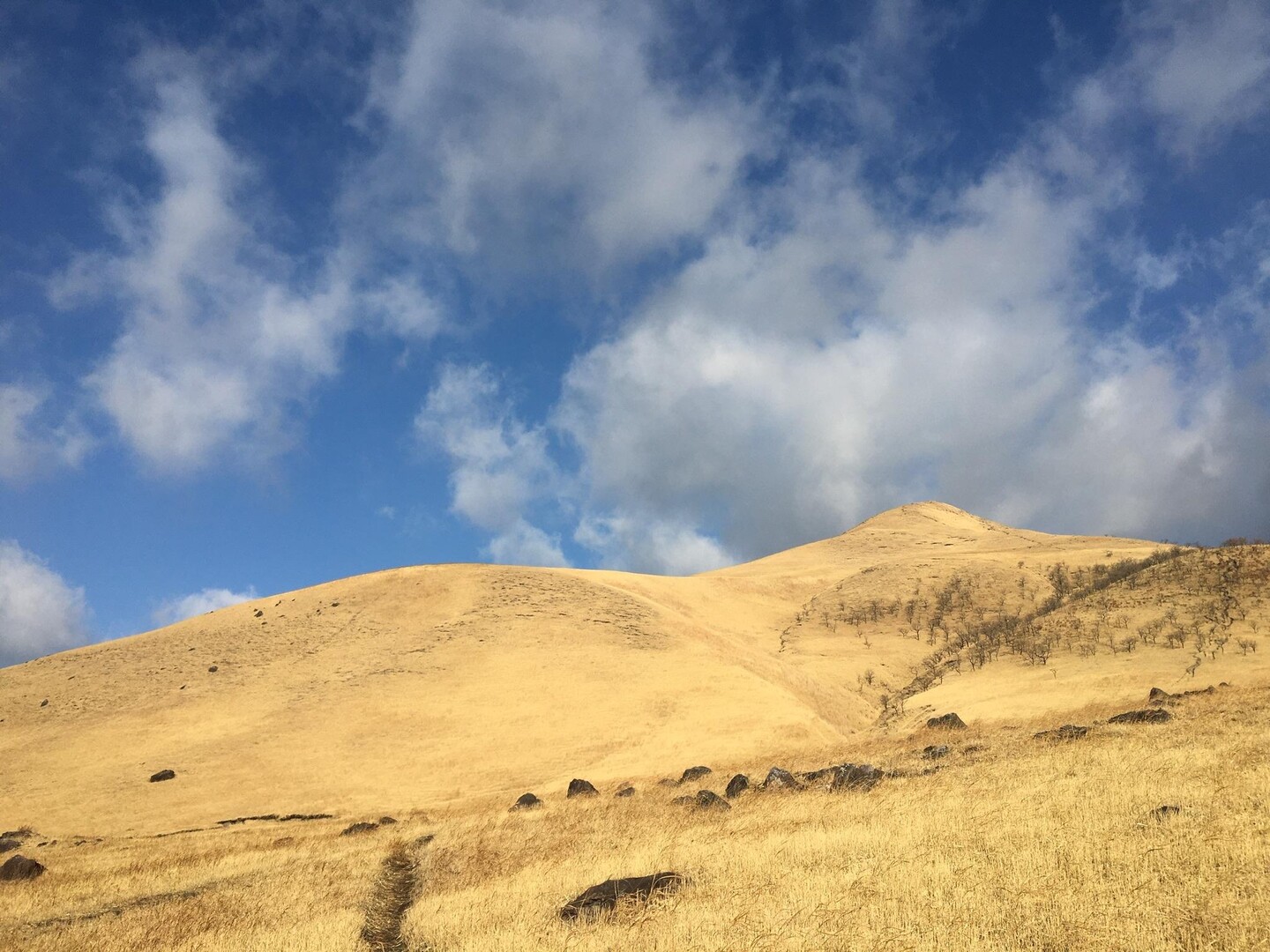 2年前の無謀 ️由布岳お鉢巡り / もりのくまさんのモーメント | YAMAP / ヤマップ