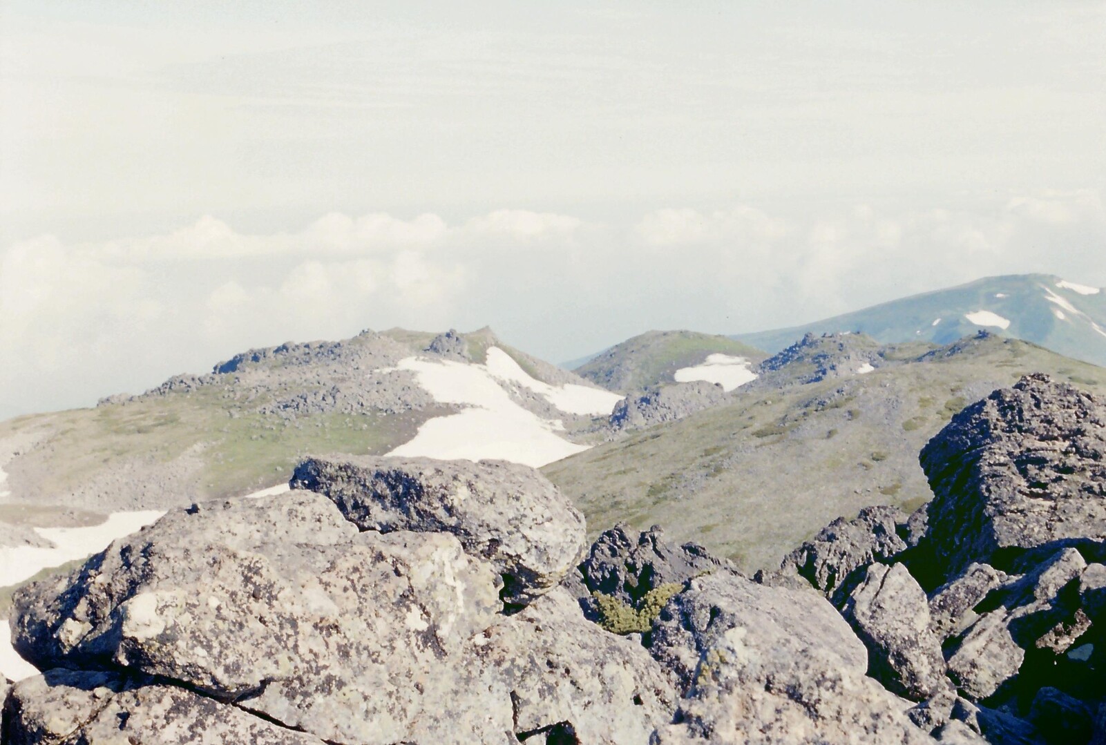 トムラウシ山 / taikaと銀子さんの登山の活動データ | YAMAP / ヤマップ