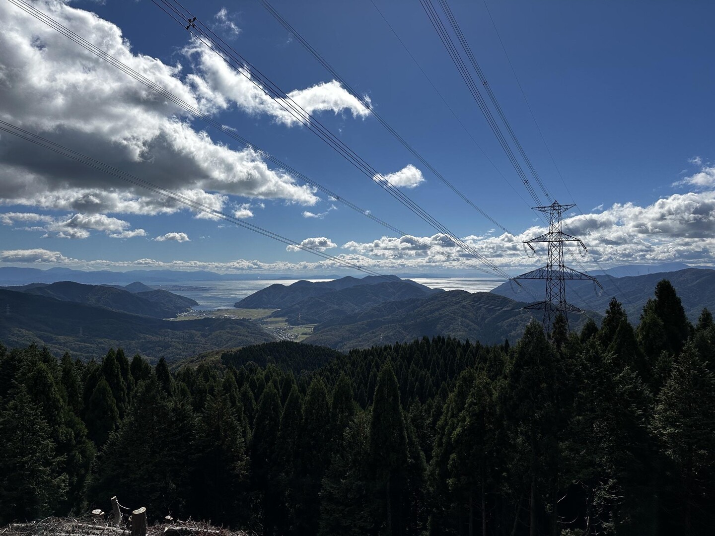 余呉トレイル東ヶ谷山（総見山）・小アケビ岳・新道野・孫持山(大師走4等)・三方ヶ岳・行市山 / podoryさんの行市山・柳ヶ瀬山・三方ヶ岳の活動データ | YAMAP / ヤマップ