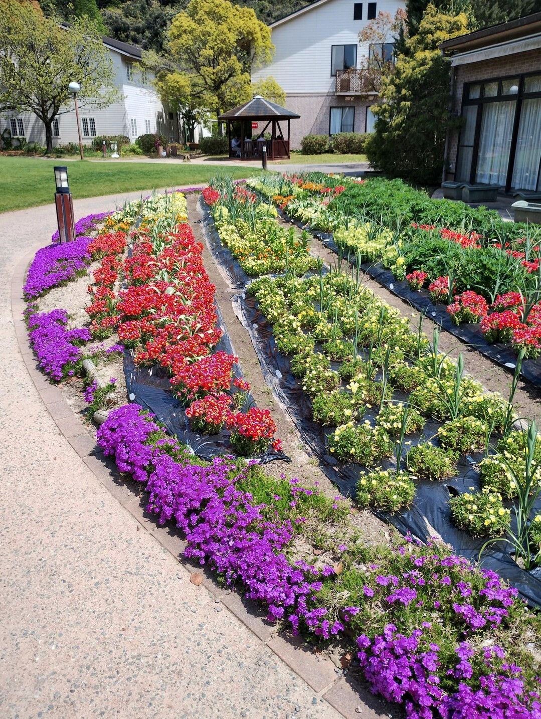 宗像グローバルアリーナに行ったことがない... / Romiさんのモーメント | YAMAP / ヤマップ