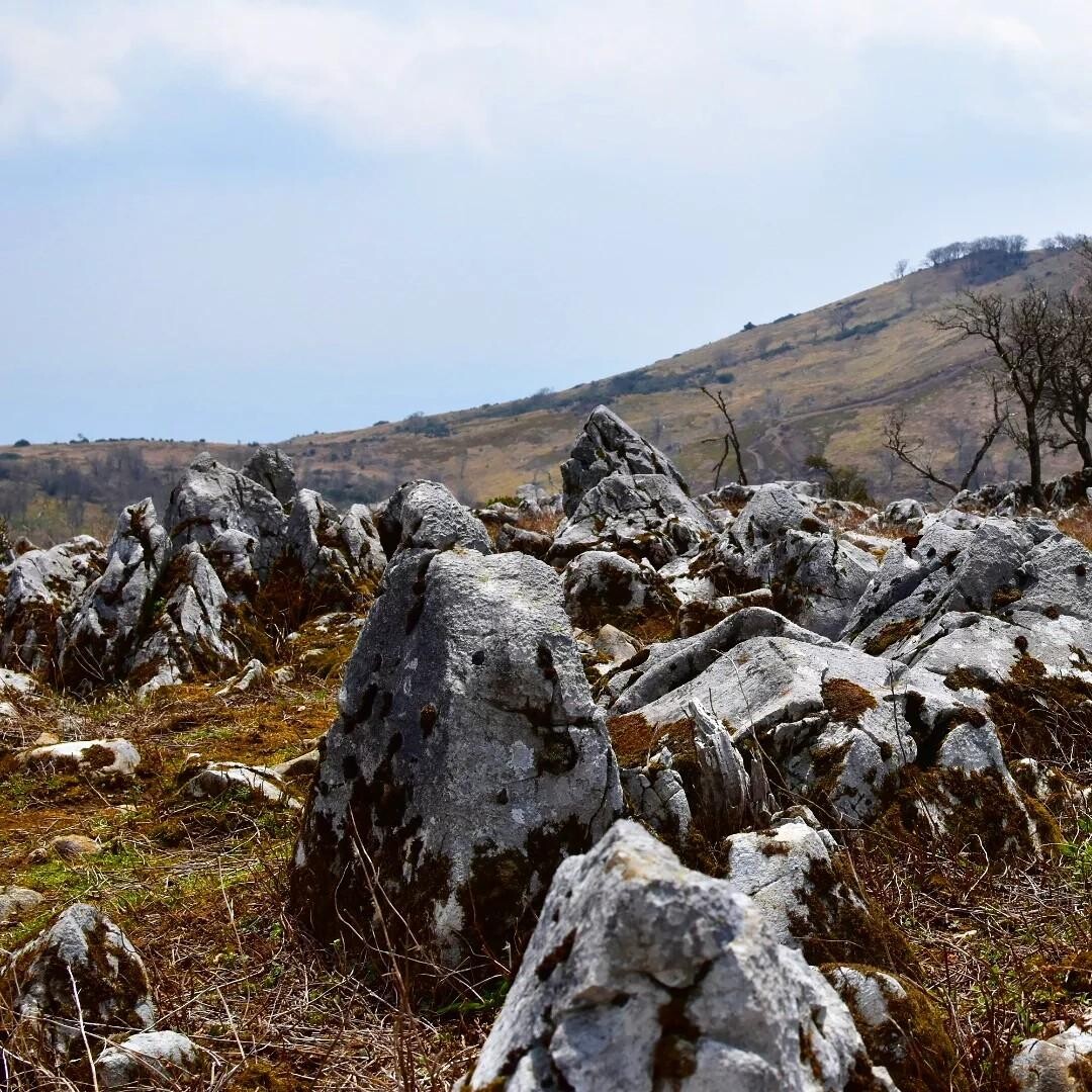 2023/04/11～藤原岳～ / yama AGさんの藤原岳・御池岳の活動データ | YAMAP / ヤマップ